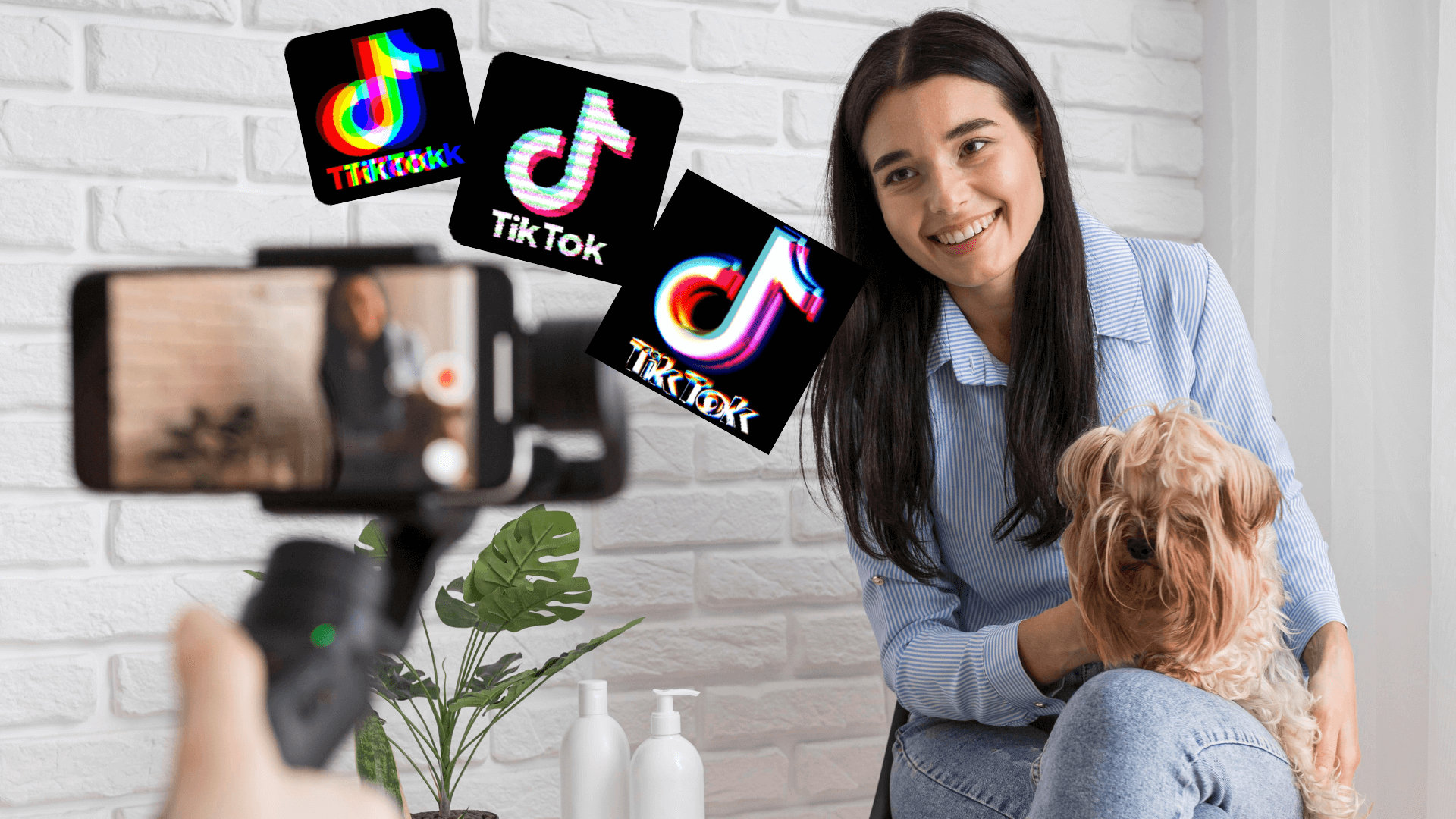 Welcome to The Click Town | Tik Tok for B2C and Personal Branding ...